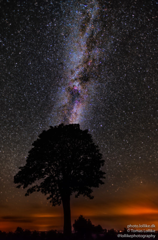 Milkyway and a tree from Møn